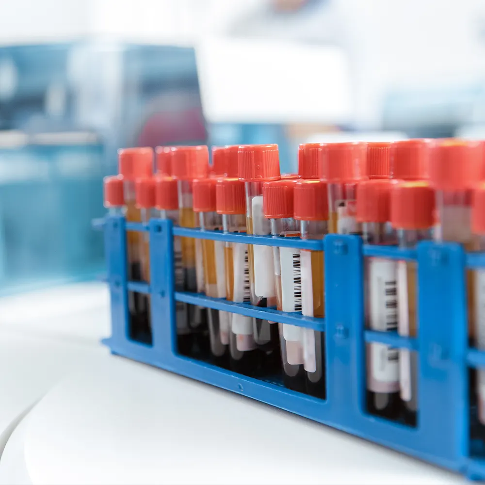 Order a Test | Drug and Alcohol Testing Compliance | DATCS